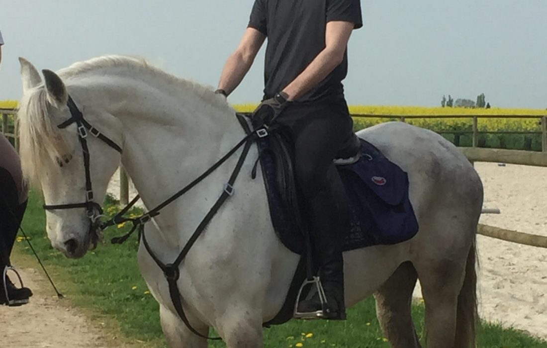 Programme des balades, randonnées et évènements à cheval